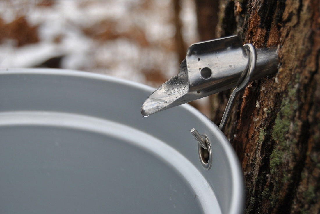 Wood's Monthly Maple Kitchen Club – Wood's Vermont Syrup Company